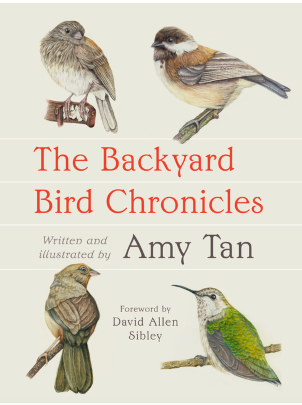 The Backyard Bird Chronicles – Arvida Book Co.